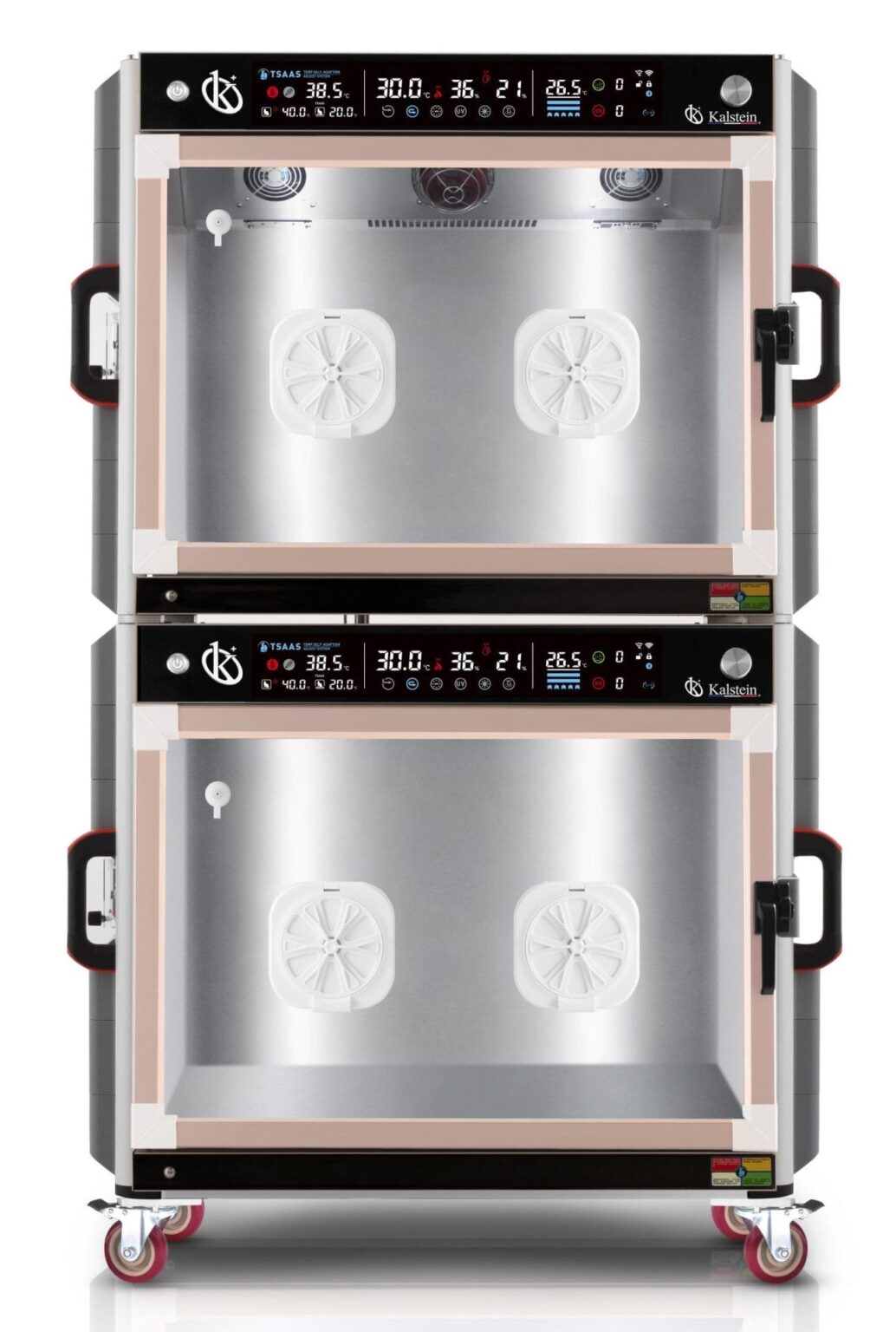 Revolutionizing Veterinary Care: A Deep Dive into Kalstein's Veterinary ...